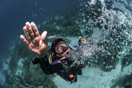 Key West Scuba Diving — Official PADI® 5 Star Center‎